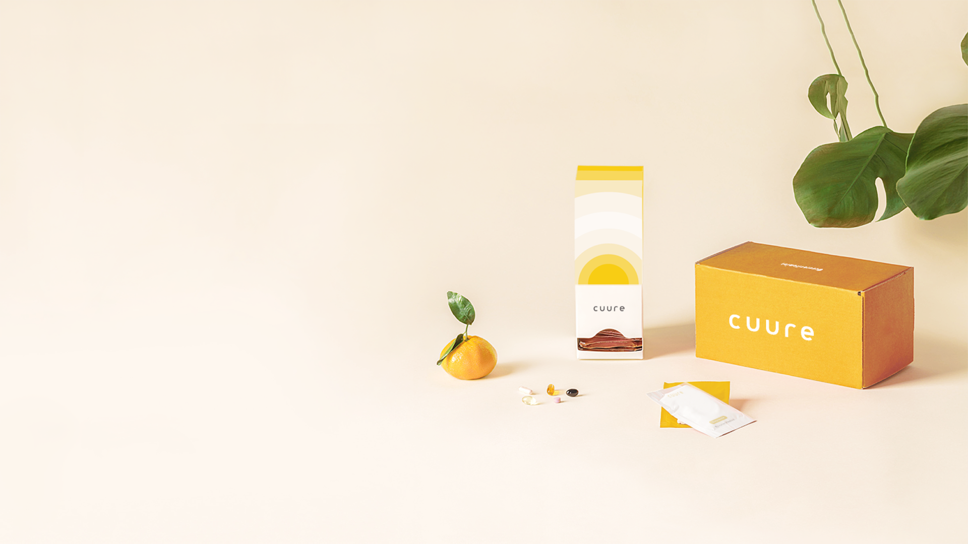 Cuure | Newfund Capital - VC Firm